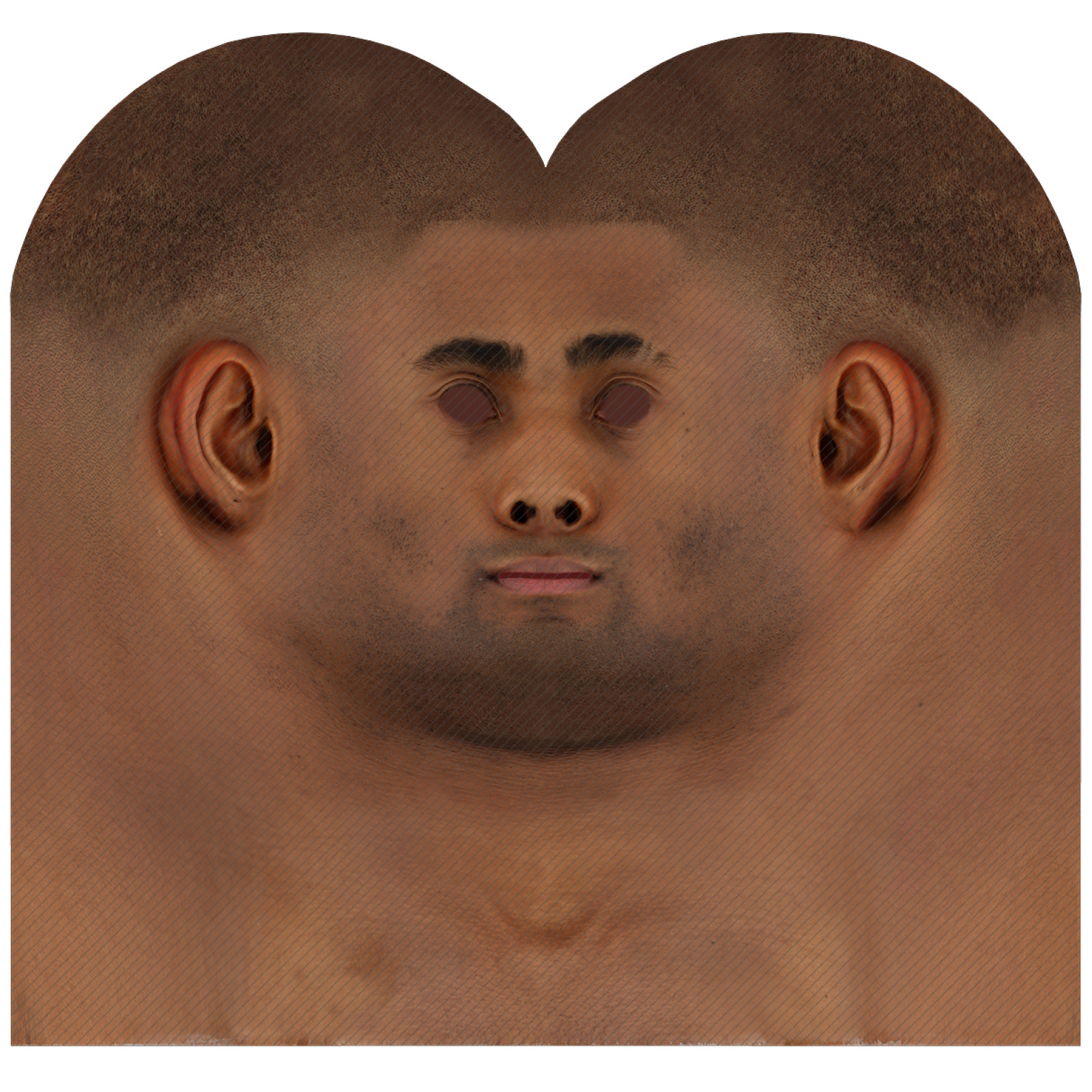 Male head texture map 40